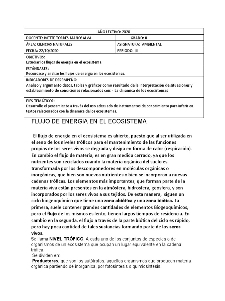 Flujos de Energía en Ecosistemas | PDF | Ecosistema | Organismos