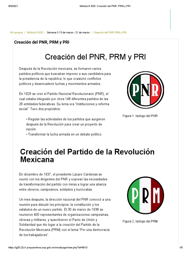 Módulo 9 G20 - Creación Del PNR, PRM y PRI | PDF | Partido ...