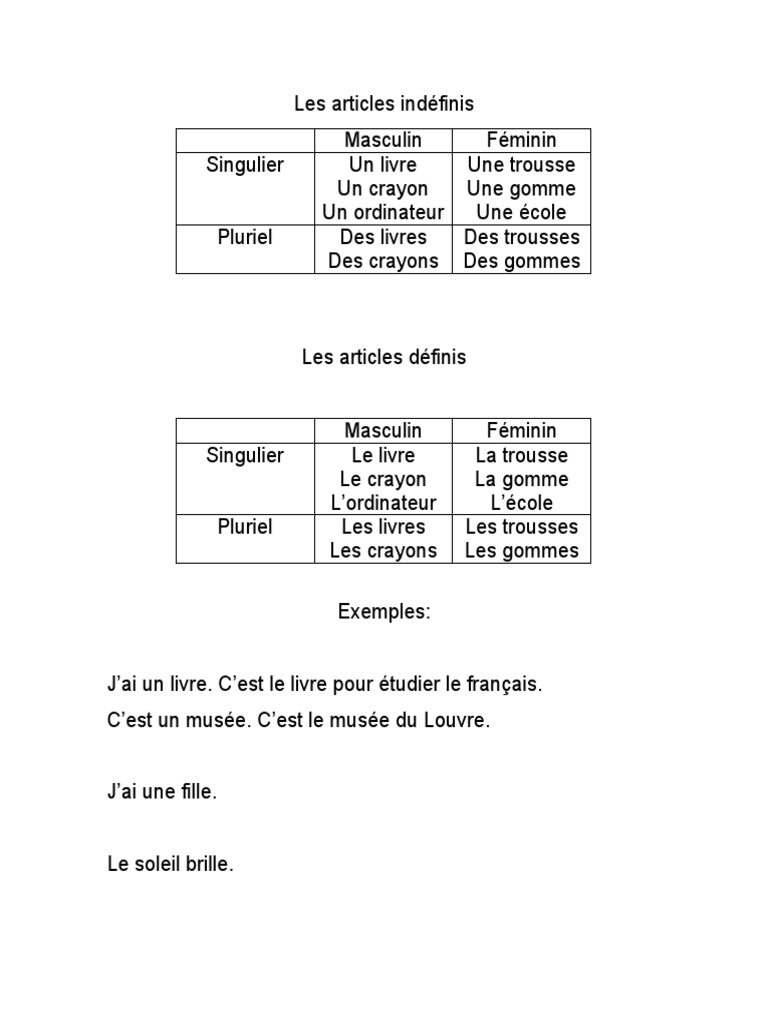 Les Articles Indéfinis Et Définis | PDF