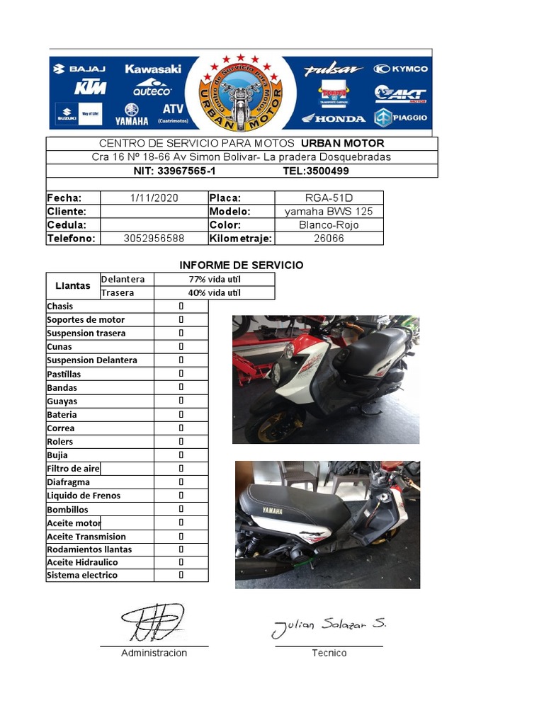 Formato de Peritaje | PDF | Tecnología