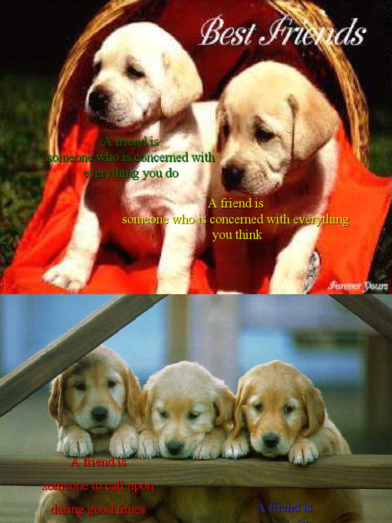 A Friend Is Someone Who Is Concerned With Everything You Do | PDF
