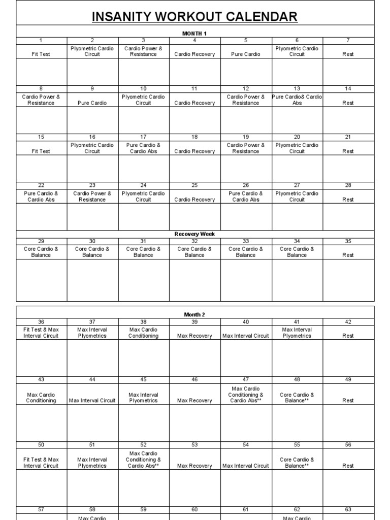 Insanity Workout Guide | PDF | Physical Exercise | Individual Sports