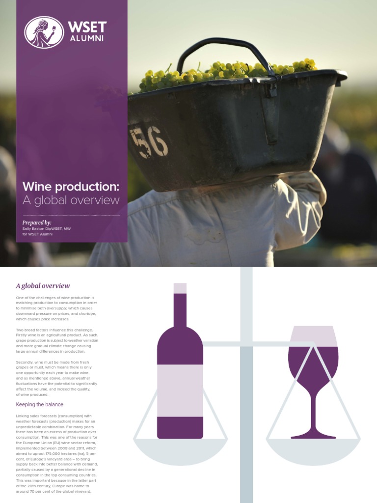 Wine Production A Global Overview | PDF