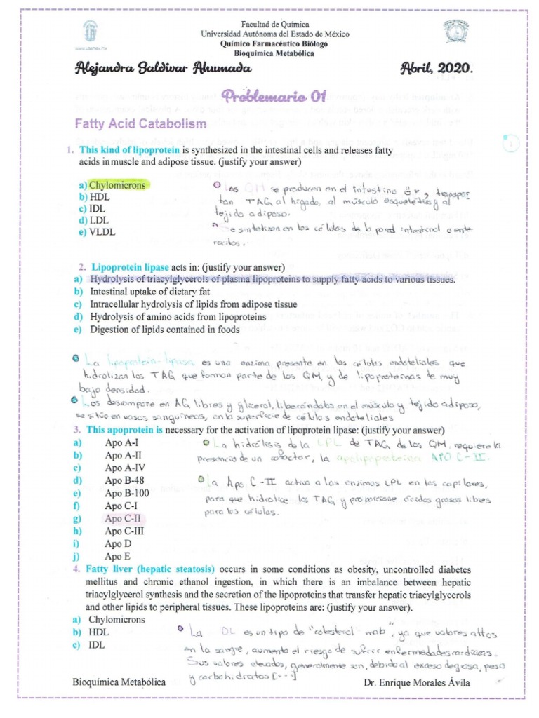 Problemario 1 y 2 | PDF