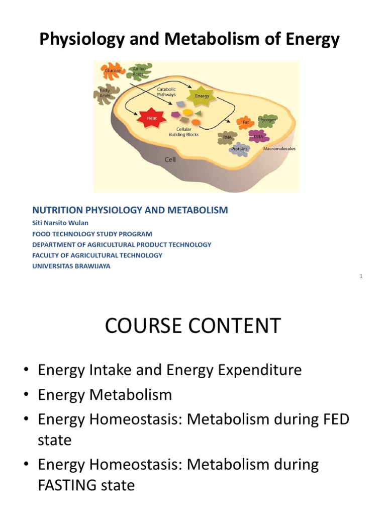 Physiology and Metabolism of Energy-2020 | PDF | Energy Homeostasis ...