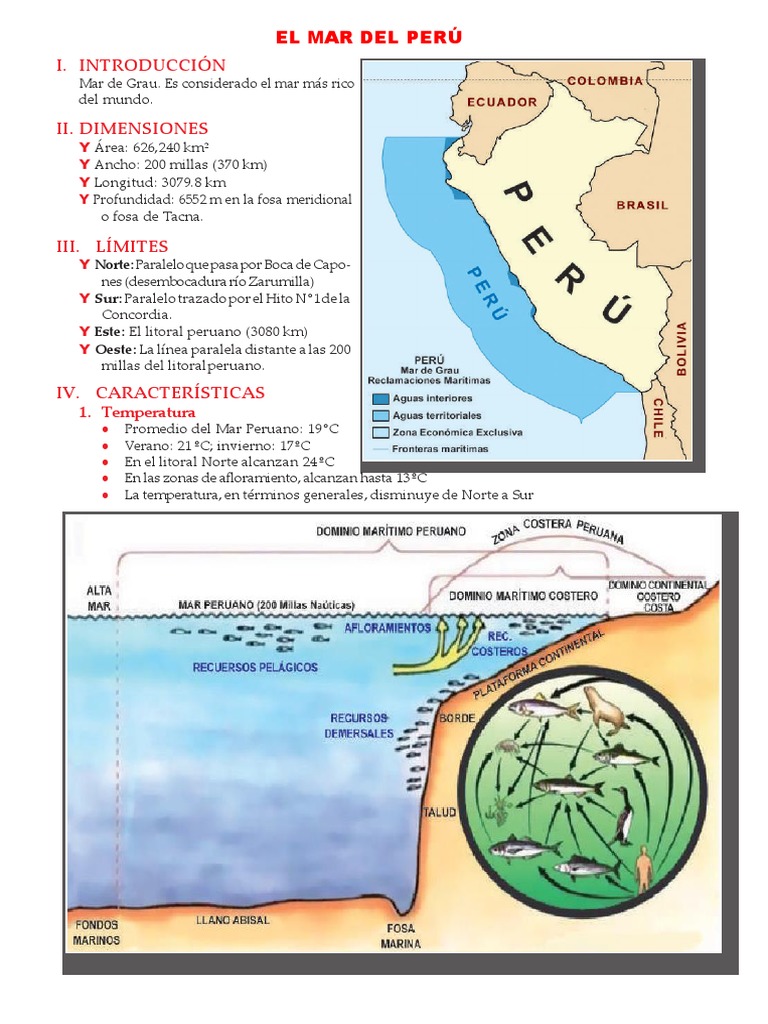 El Mar Del Perú | PDF | océano Pacífico | Oceanografía Física