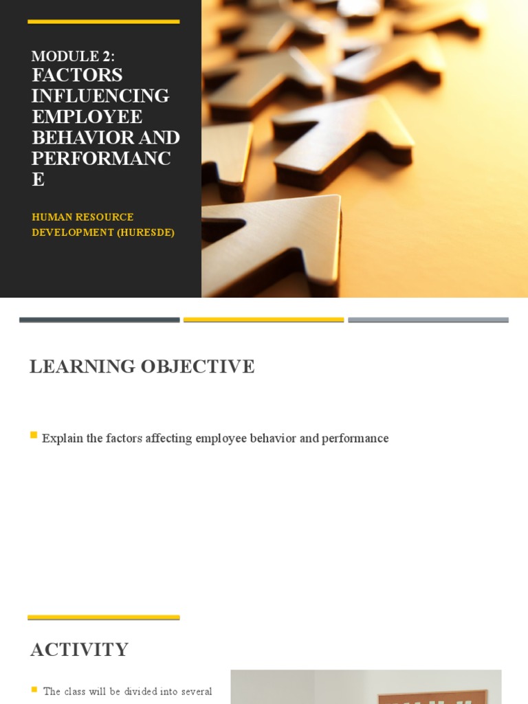 Factors Influencing Employee Behavior and Performance | PDF | Attitude ...
