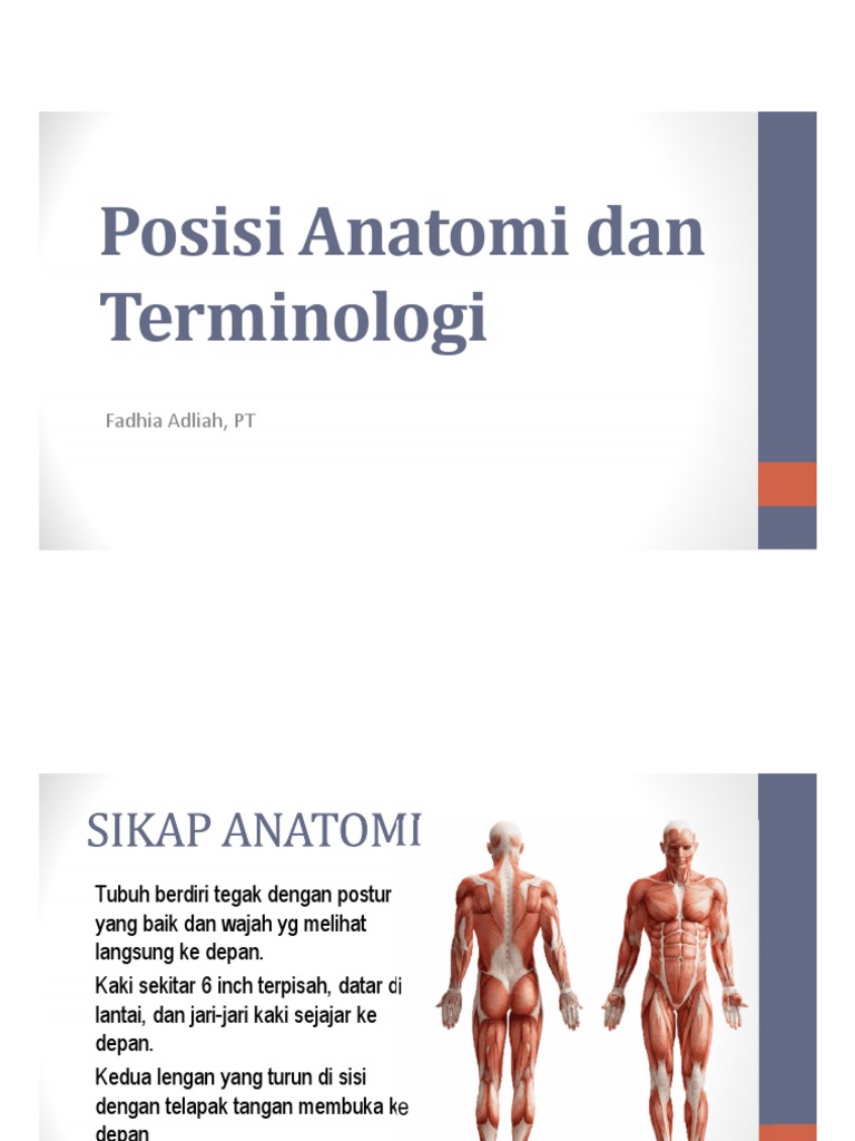 Terminologi dan Posisi Anatomi Manusia | PDF | Seni & Disiplin Bahasa ...