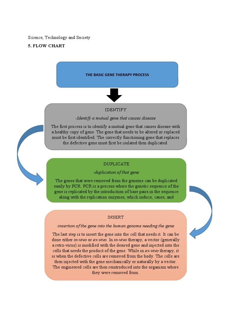 Flow Chart: The Basic Gene Therapy Process | PDF