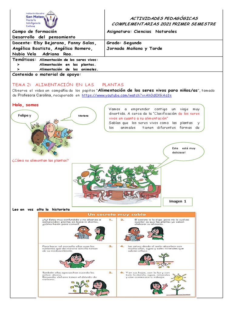 Guía #1 Ciencias Naturales Alimentacion de Los Seres Vivos Ok | PDF ...