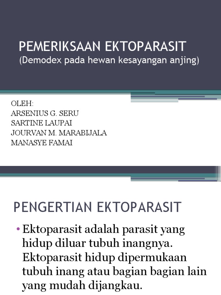 Pemeriksaan Ektoparasit | PDF