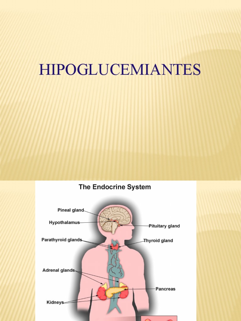 Farmacos Hipoglucemiantes | PDF | Diabetes | Insulina