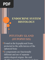Endocrine System of Fishes | PDF | Endocrine System | Pituitary Gland
