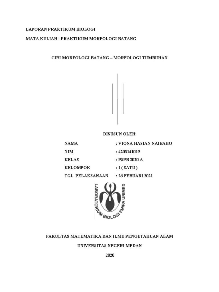 Morfologi Batang Labu Kuning | PDF | Sains & Matematika