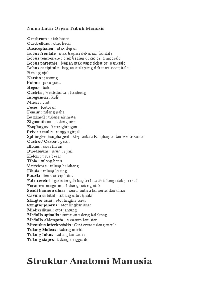 Nama Latin Organ Tubuh Manusia | PDF
