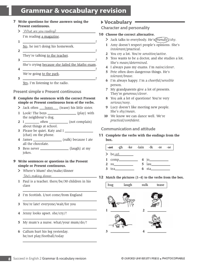 Succeed in English Grammar - Vocabulary 2 | PDF