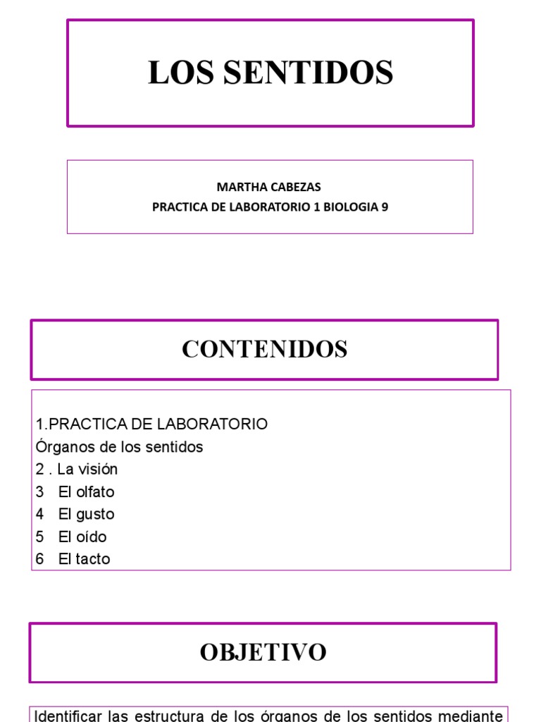 Práctica de Laboratorio: Los 5 Sentidos | PDF | Salud y bienestar