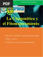 Fitomejoramiento - Endogamia y Heterosis | PDF | Endogamia | Dominancia (Genética)