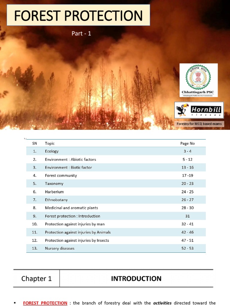 Forestry Exam Prep Guide | PDF