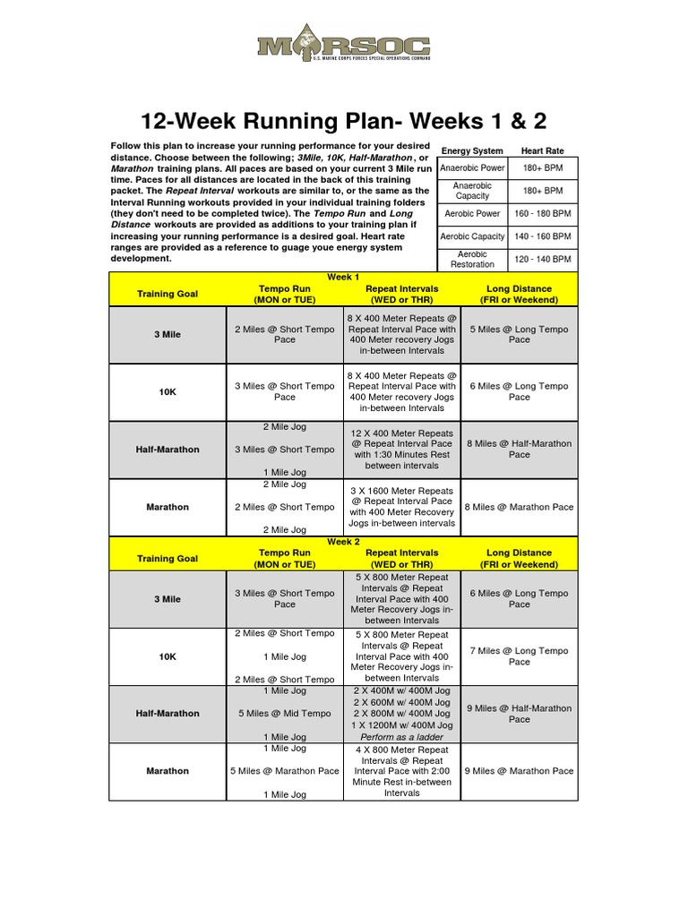 12 Week Running Program | PDF | Aerobic Exercise | Long Distance Running