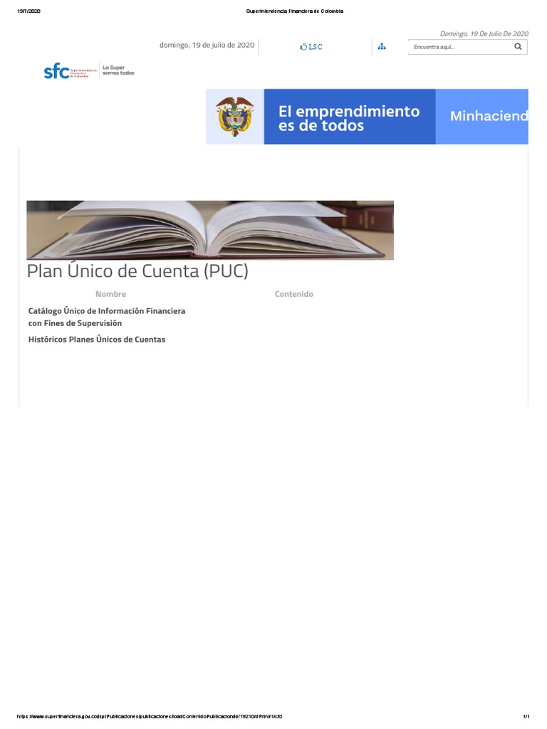 Plan Unico de Cuentas PUC - Colombia | PDF