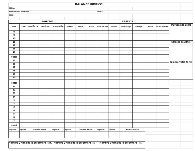 Formato de Control de Líquidos en Enfermería | PDF
