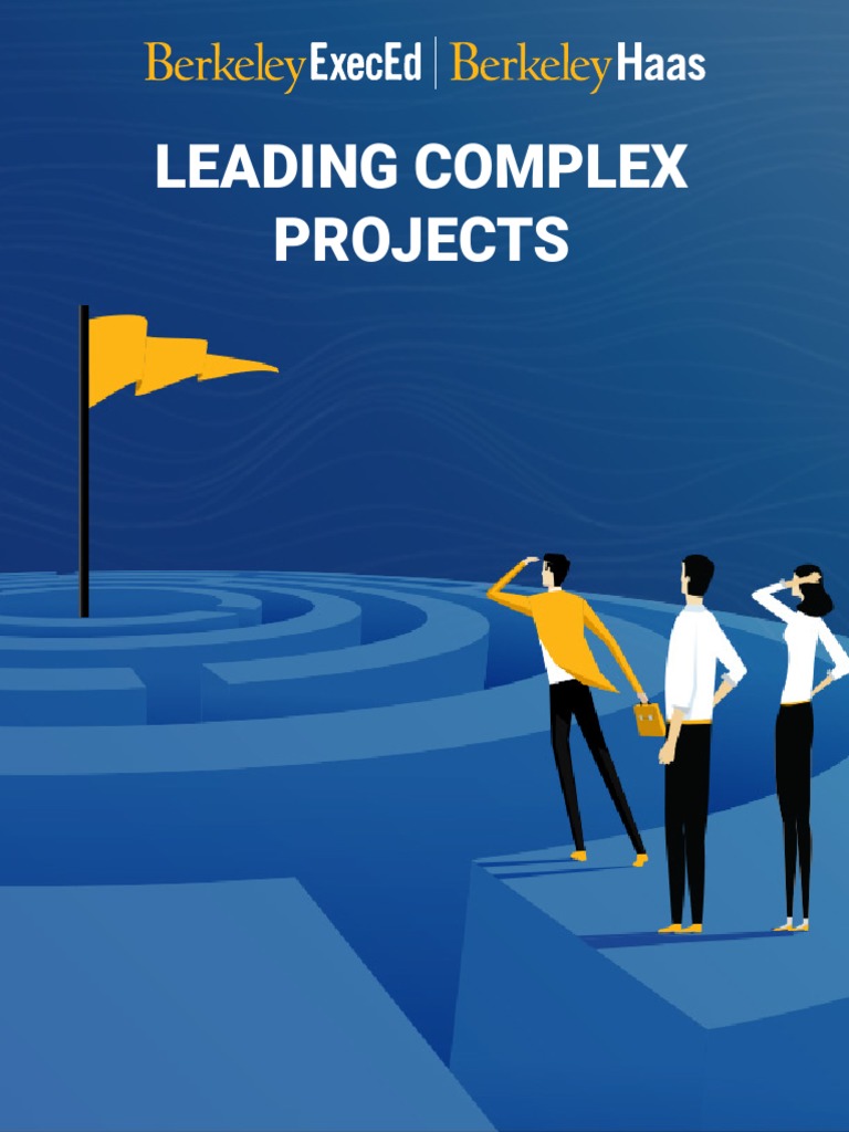 Navigating the Challenges of Leading Complex Projects Through Proven ...