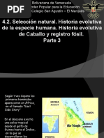 Dryopithecus | PDF | Hominidae | Homo Sapiens