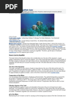 RAINBOW FISH Script | PDF | Nature