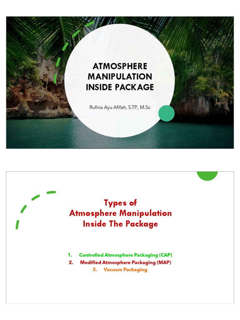 Atmosphere Manipulation Inside Package | PDF | Carbon Dioxide | Chemistry