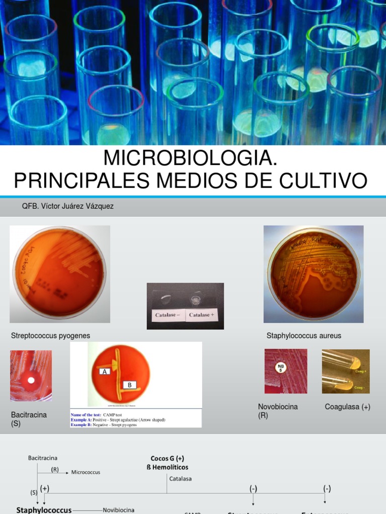 Principales Medios de Cultivo | PDF