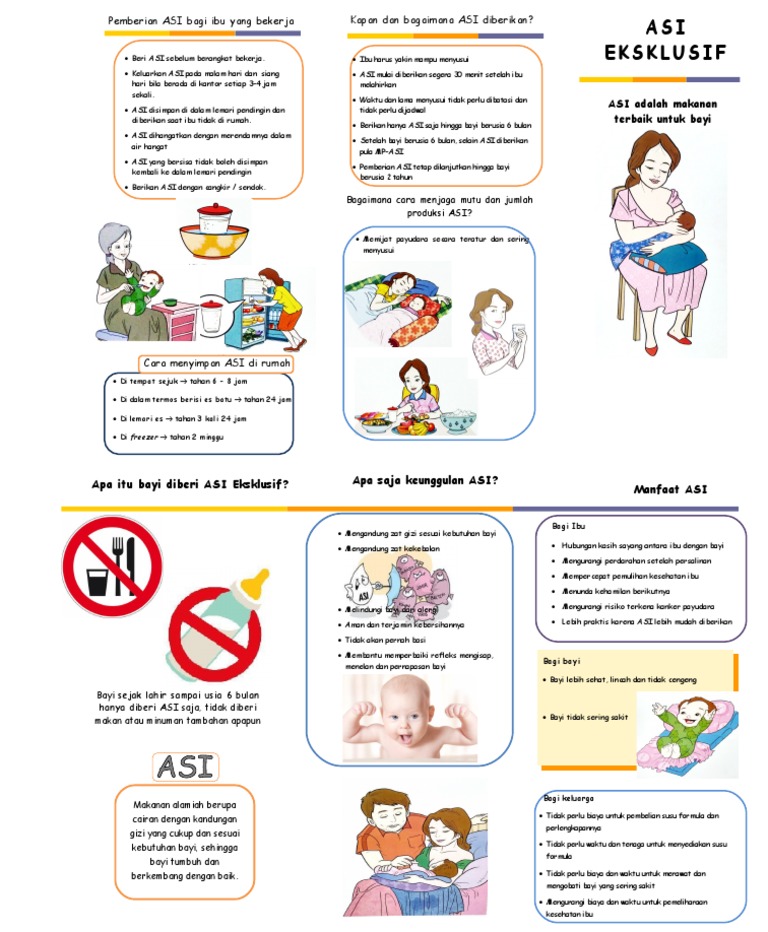 Leaflet ASI Eksklusif | PDF