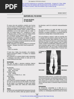 Anatomía de la pata del caballo | PDF | Mano | Sistema musculoesquelético