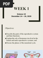 NICU Admission Sheet | PDF | Childbirth | Pregnancy