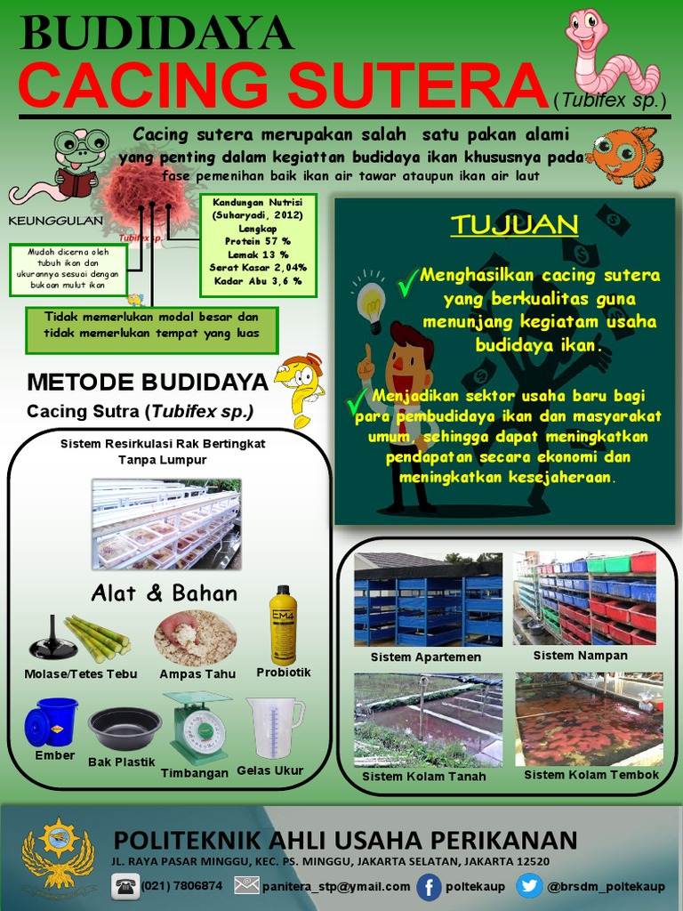Poster Budidaya Cacing Sutra | PDF | Kesehatan Holistik | Sains ...