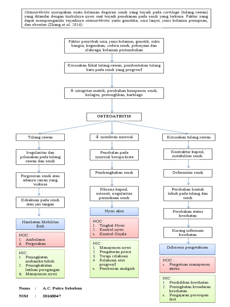Konsep Map Osteoatrtitis | PDF