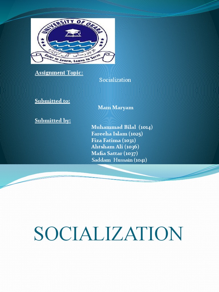 Assignment Socialization | PDF | Socialization | Psychology