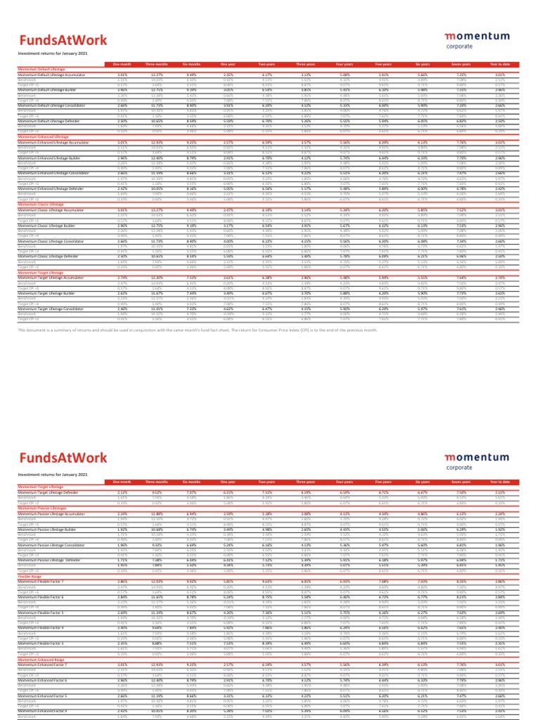 Fundsatwork: Investment Returns For January 2021 | PDF | Consumer Price ...