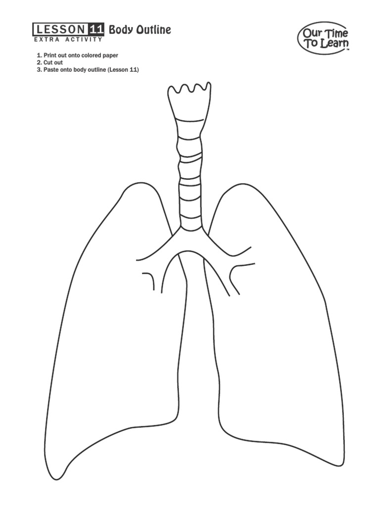 Body Outline | PDF