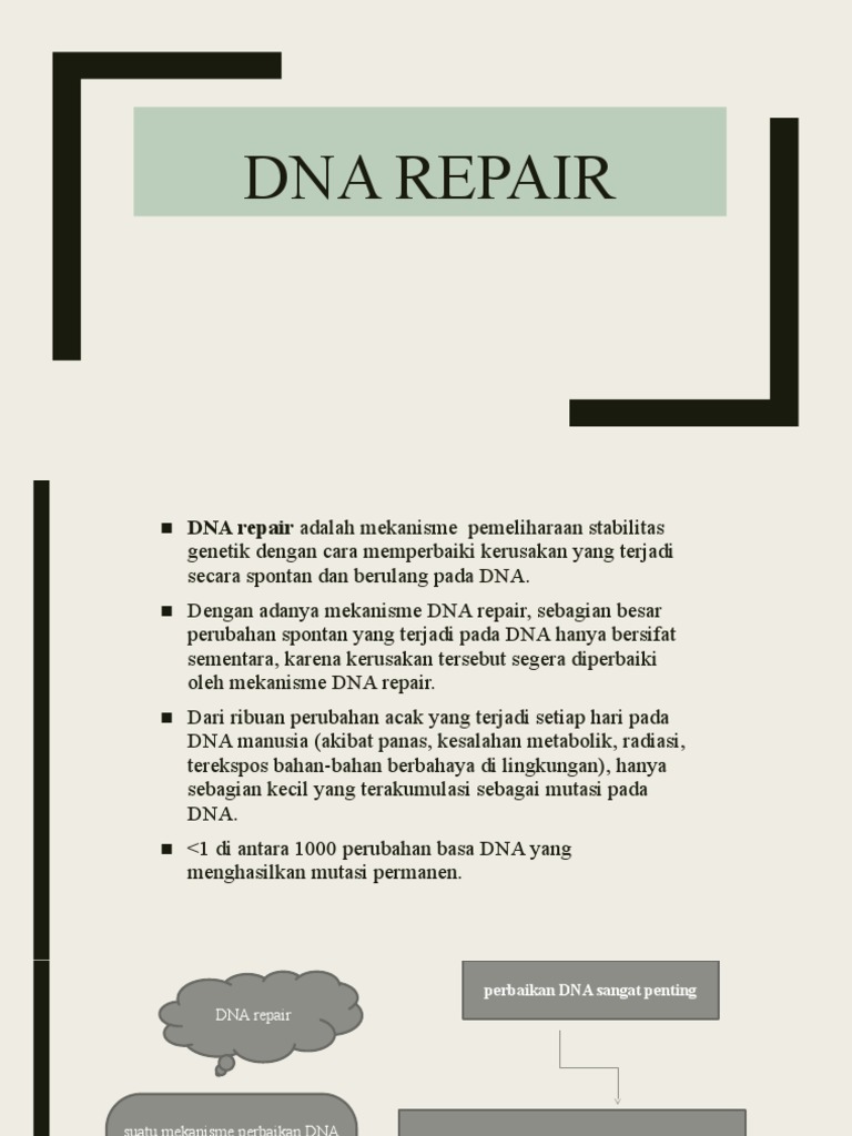 DNA Repair | PDF