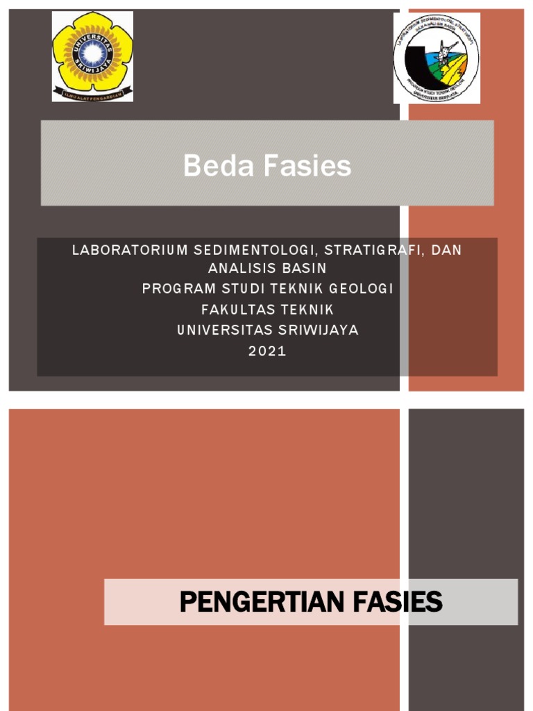 Pengertian dan Hubungan Fasies | PDF