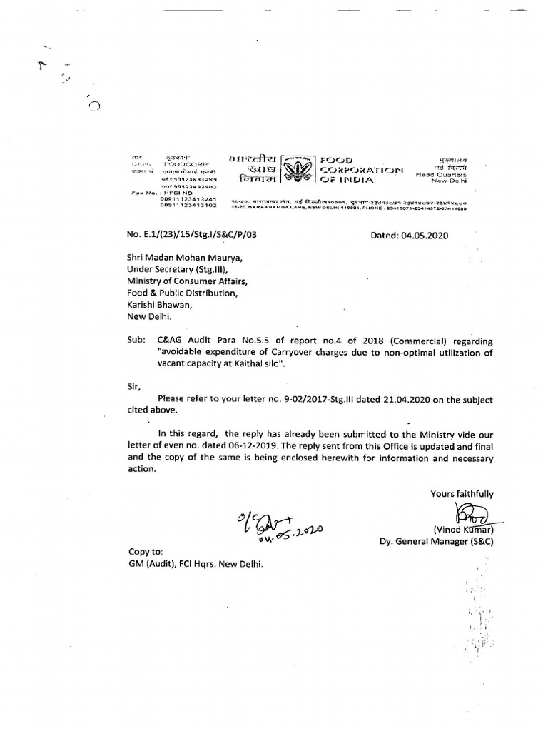 Adani Silos CAG Report | PDF