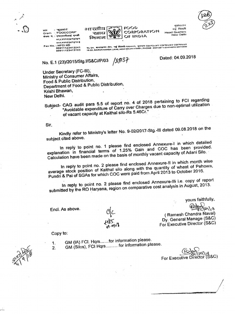 Adani Silos CAG Report | PDF