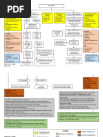 Paroticin English | PDF | Topical Medication | Corticosteroid