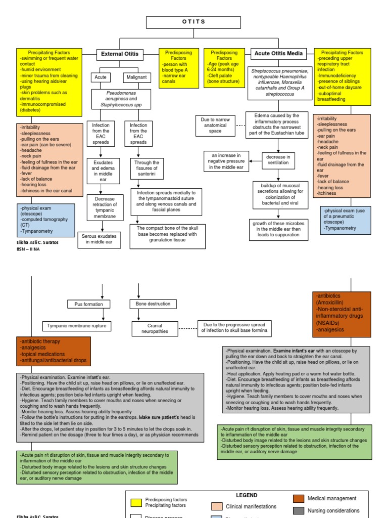 OTITIS Concept Map | PDF | Epidemiology | Immunology