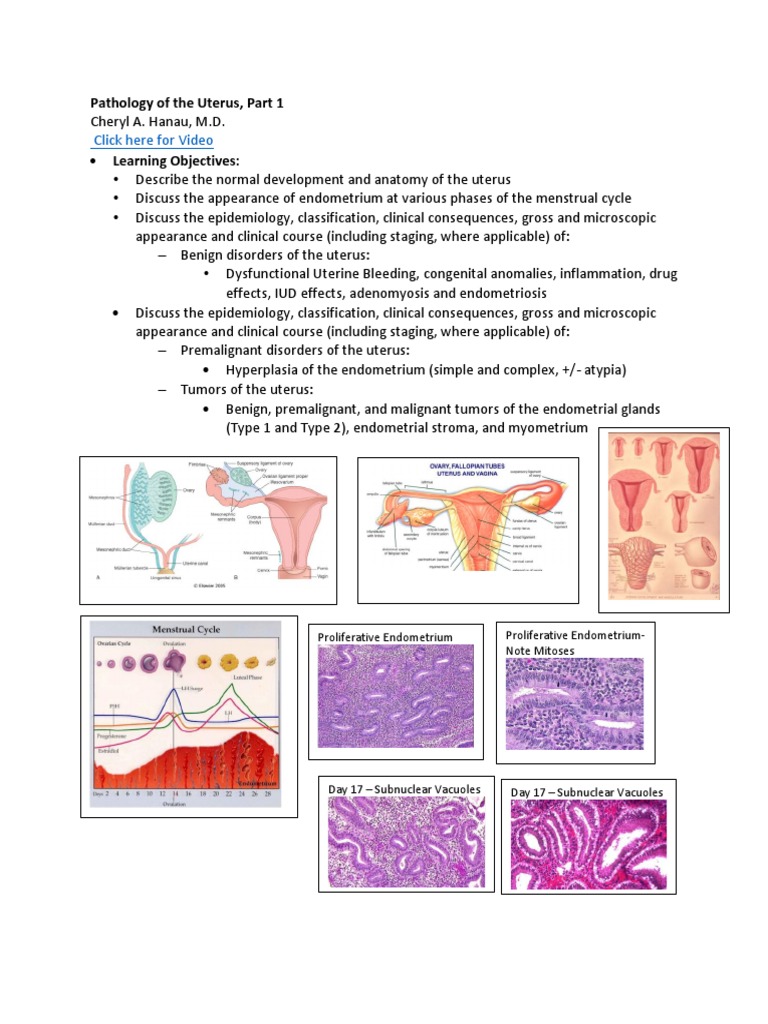 Path Pathology of The Uterus Part 1 2020-2021 | PDF | Self-Improvement ...