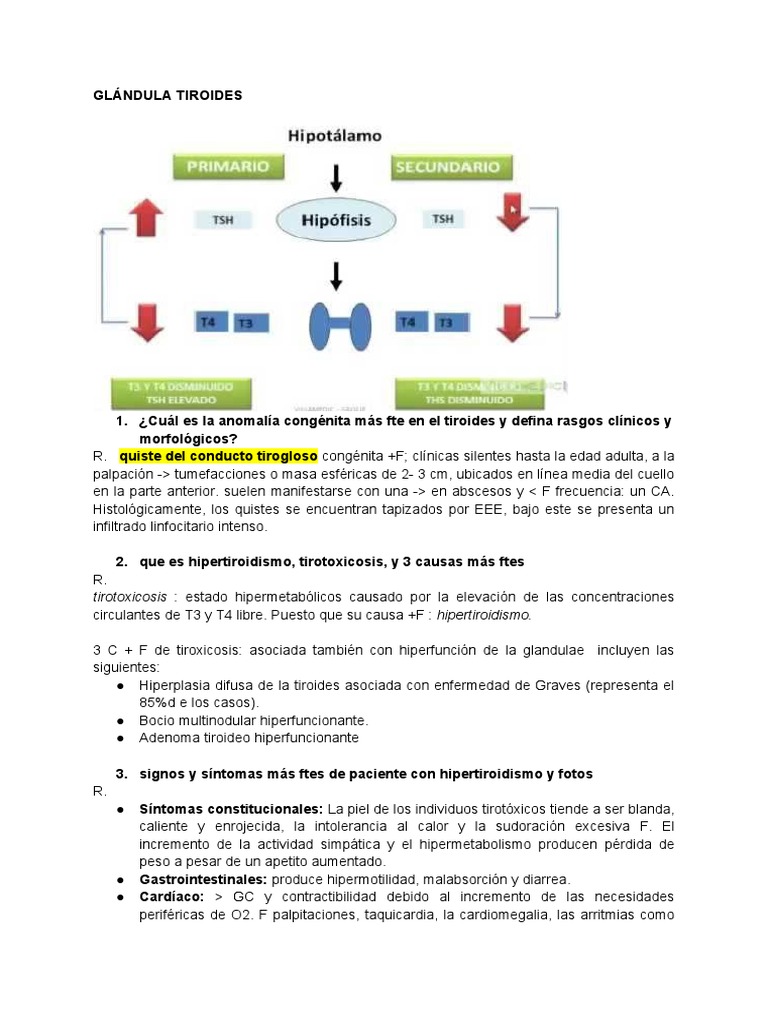 Glándula Tiroides | PDF | Tiroides | Hipertiroidismo