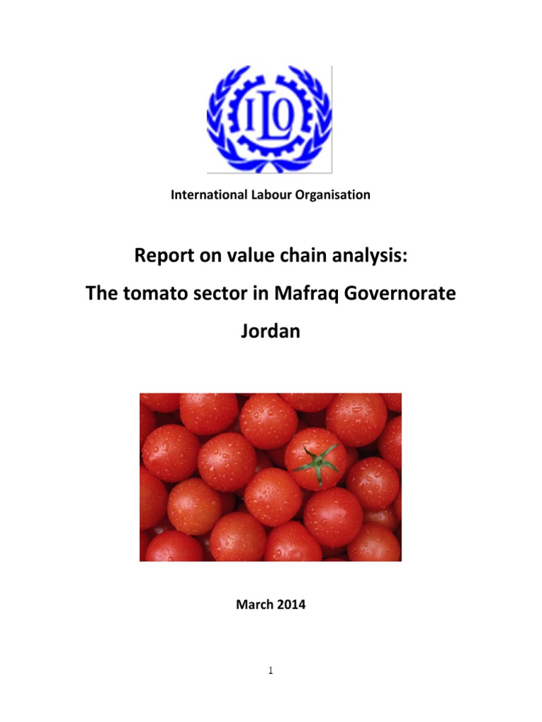 Value Chain Analysis of Tomato | PDF | Economies | Business