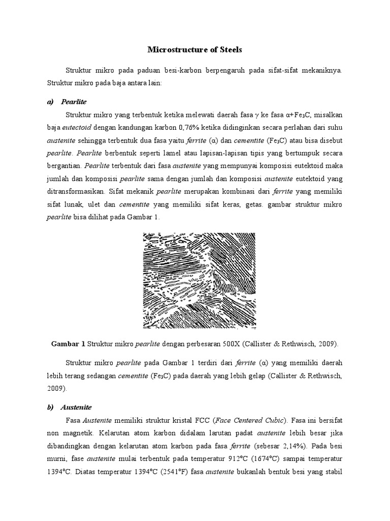 Analysis Microstructure of Steels | PDF