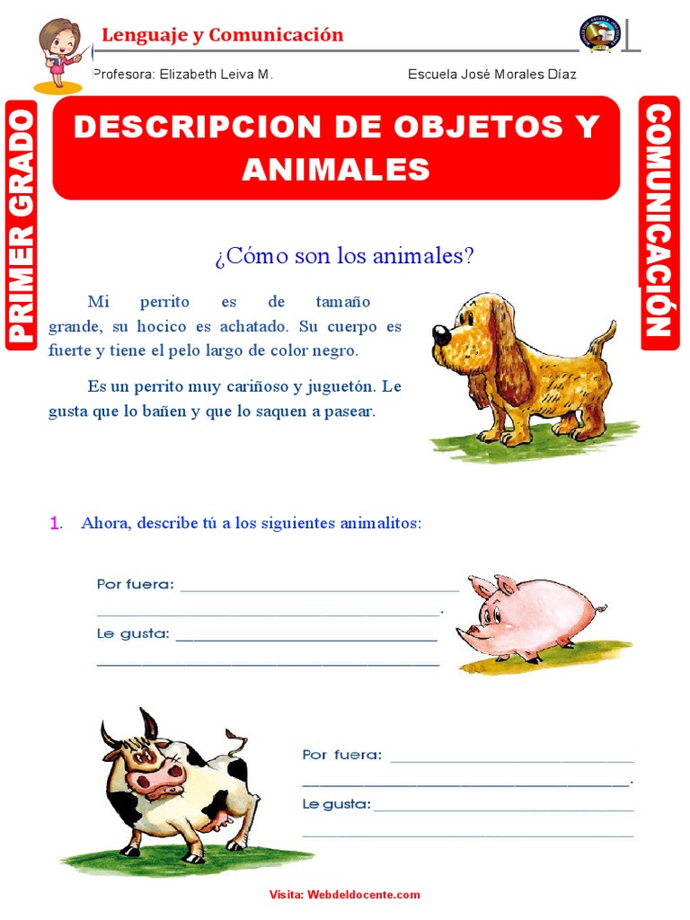 Descripción de Objetos y Animales para Primero de Primaria | PDF
